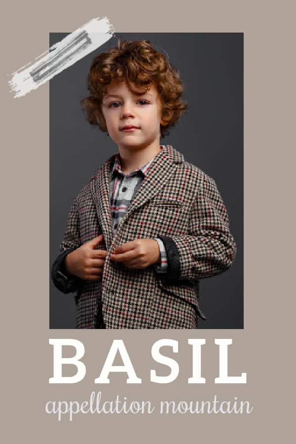 Baby Name Basil: Vintage Nature Name - Appellation Mountain