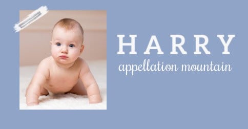 Baby Name Harry: Cozy Traditional - Appellation Mountain