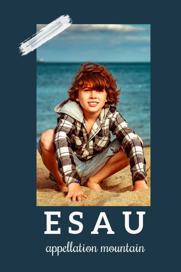 Baby Name Esau: Bold Biblical Rarity - Appellation Mountain