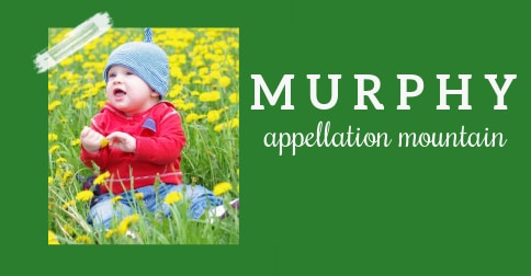 Baby Name Murphy: Scrappy and Spirited - Appellation Mountain