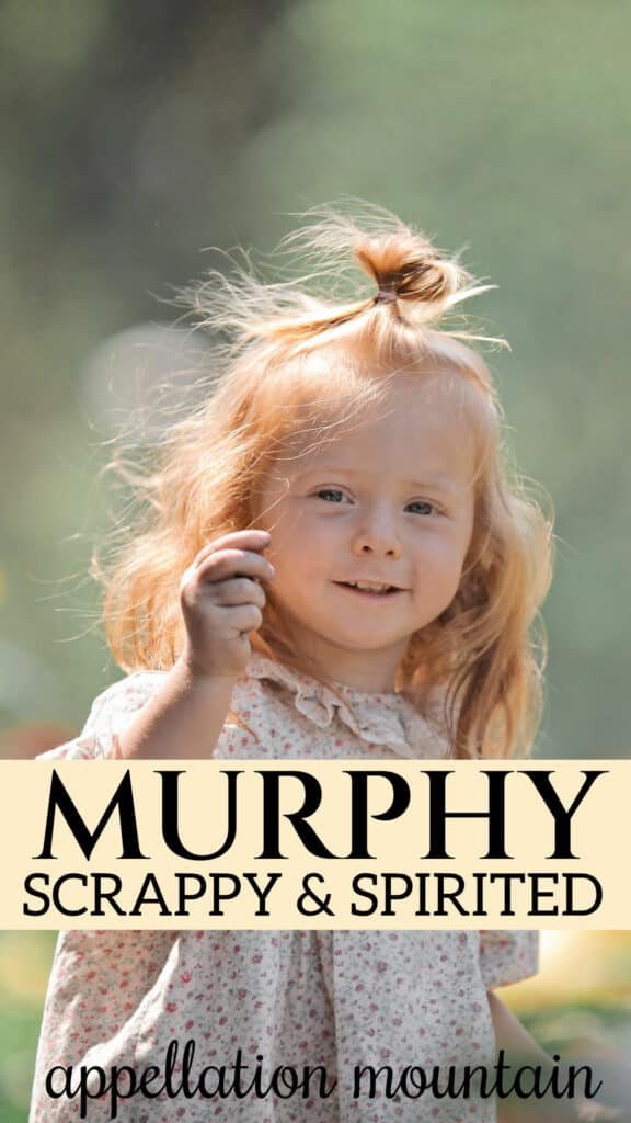 Baby Name Murphy: Scrappy and Spirited - Appellation Mountain