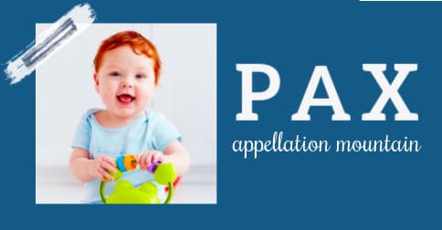 Baby Name Pax: Punchy and Peaceful - Appellation Mountain