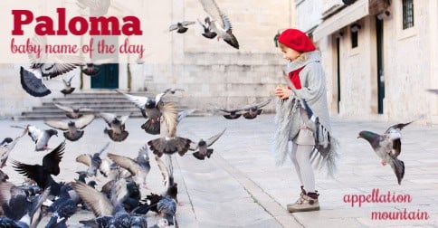 Paloma: Baby Name of the Day - Appellation Mountain