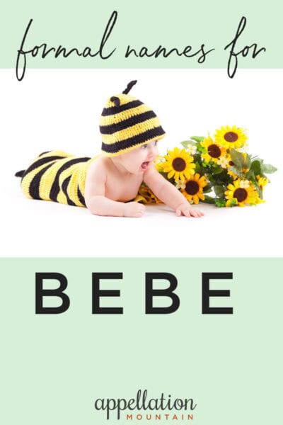 Bebe: Getting to Bebe from Bianca & more - Appellation Mountain
