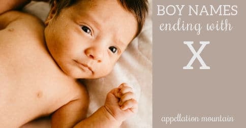 Fox, Pax & Felix: Boys Names Ending with X - Appellation Mountain