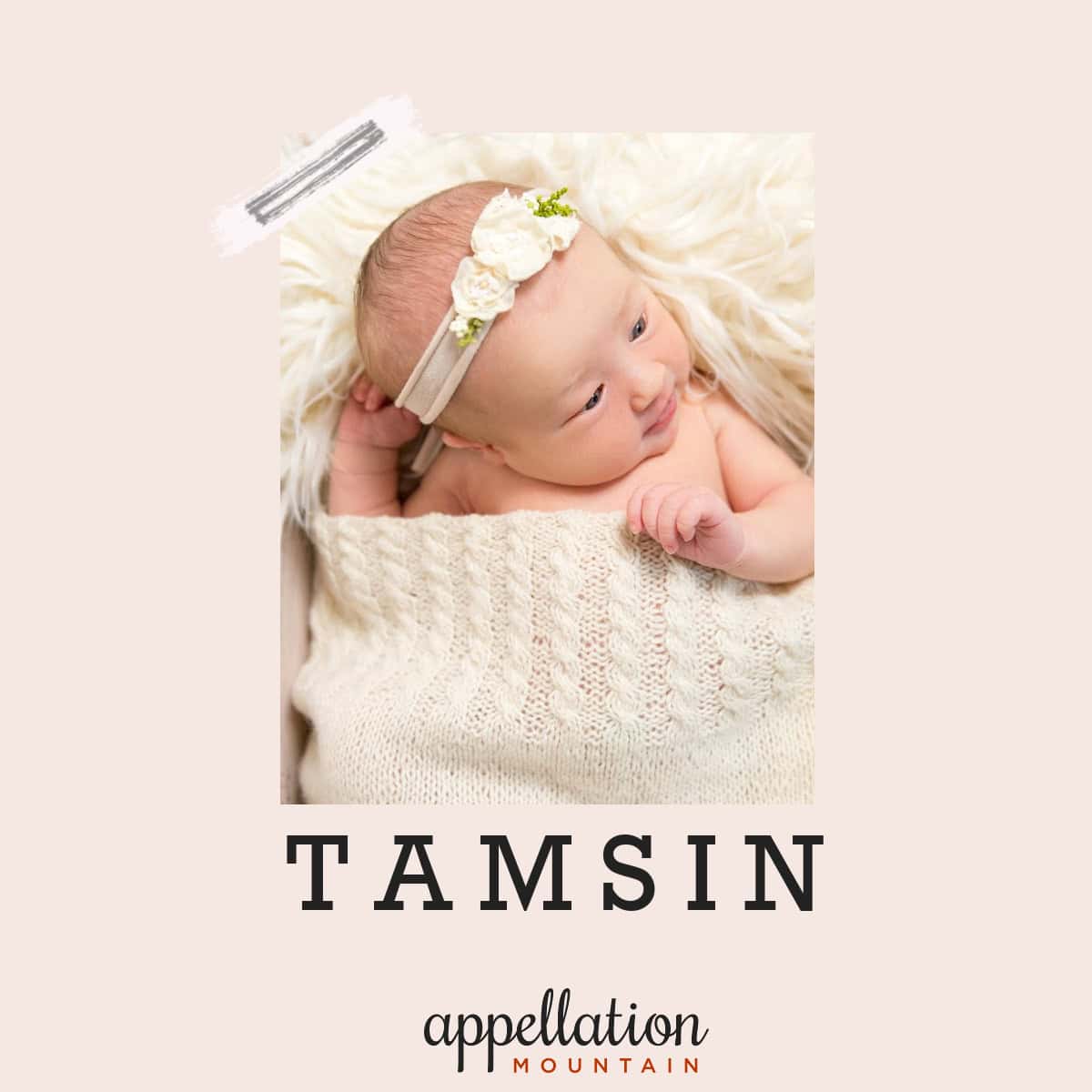 Popular in Texas Baby Names - Appellation Mountain