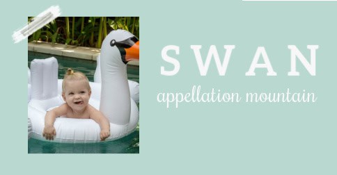 Baby Name Swan: Literary and Legendary - Appellation Mountain
