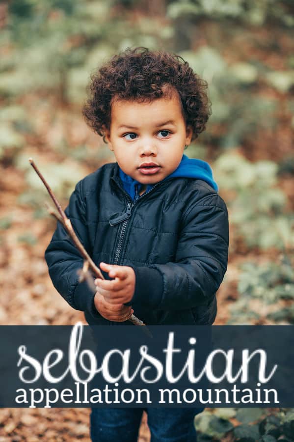 Sebastian: Baby Name of the Day - Appellation Mountain
