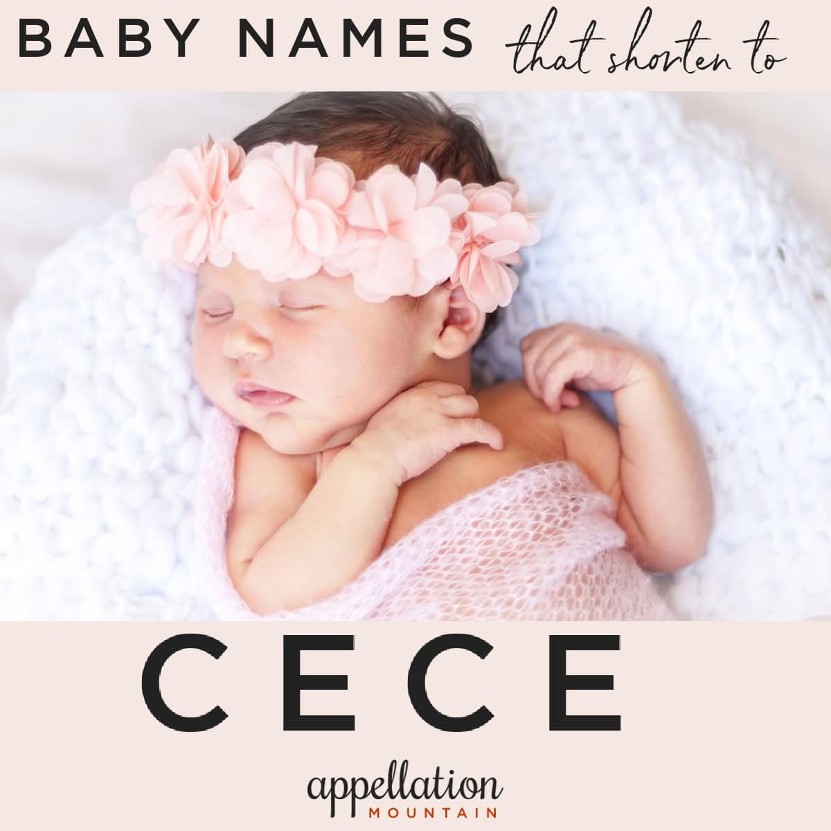 Nicknames Archives - Page 7 of 10 - Appellation Mountain
