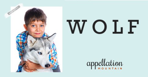 Baby Name Wolf: Germanic Classic Walks on the Wild Side - Appellation ...