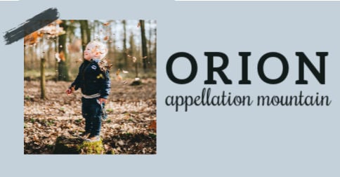 Baby Name Orion: Stylish Night Sky Name - Appellation Mountain