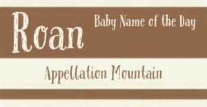 Roan: Baby Name of the Day - Appellation Mountain
