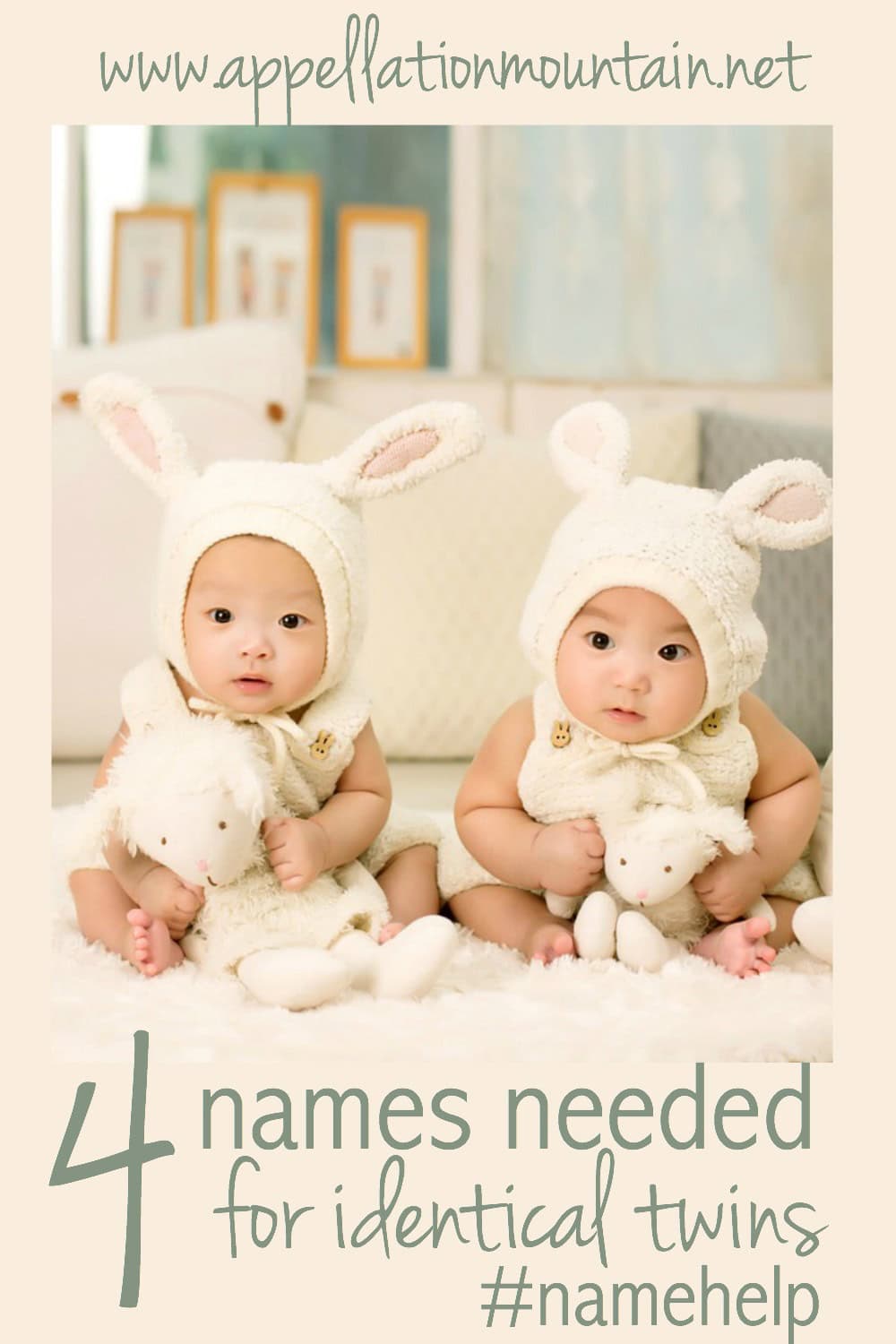 Name Help: Identical Twins - Four Names Needed! - Appellation Mountain