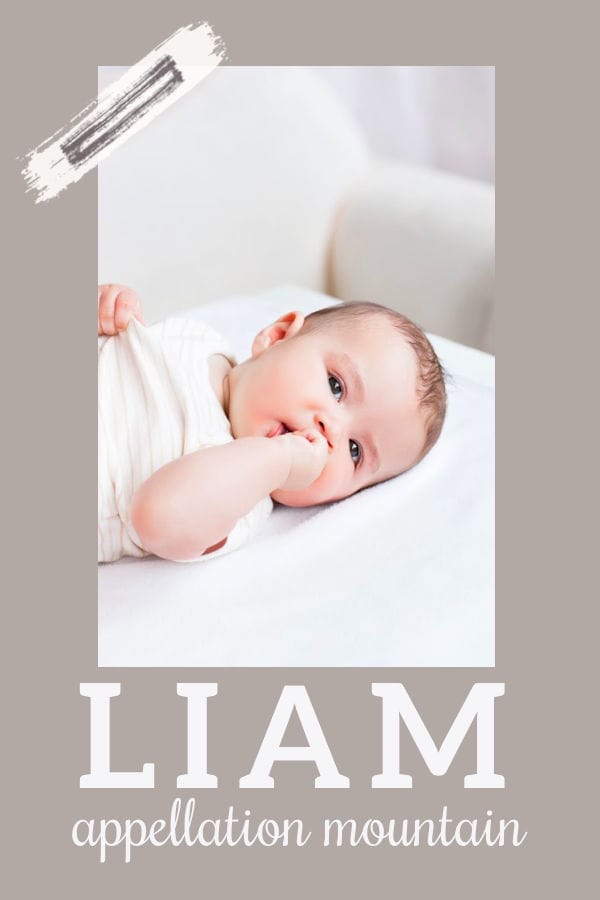 Baby Name Liam: Upbeat and Charming - Appellation Mountain