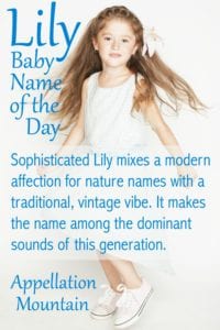 Lily: Baby Name of the Day - Appellation Mountain
