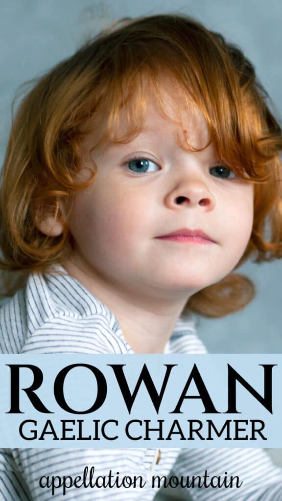 Baby Name Rowan: Gaelic Charmer - Appellation Mountain