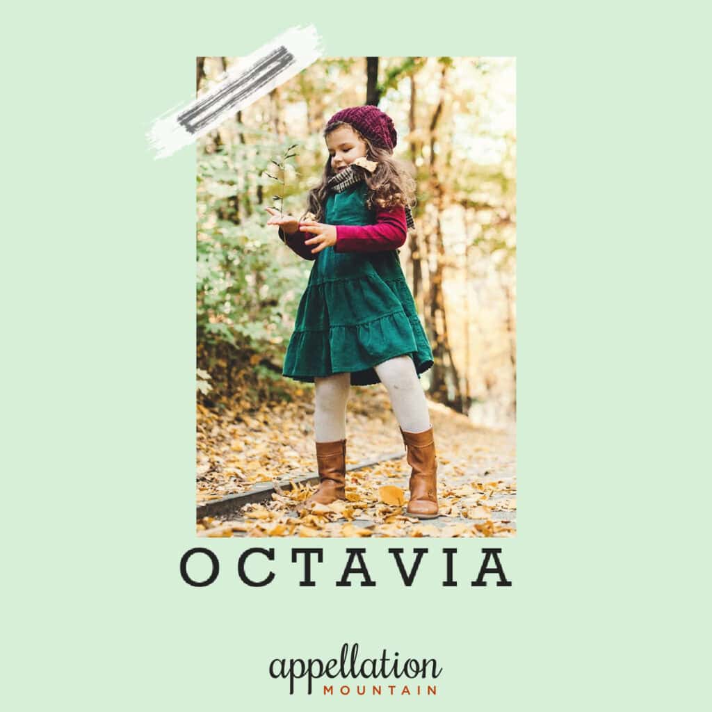 Baby Names That Mean Numbers: Counting from Una to Forty - Appellation ...