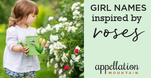 Gorgeous Rose Names: Elegant Rosalind, Rare Rosaura and More ...