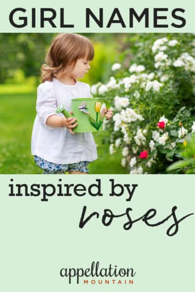 Gorgeous Rose Names: Elegant Rosalind, Rare Rosaura and More ...