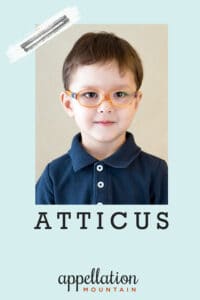 Baby Name Atticus: Popular Literary Choice - Appellation Mountain