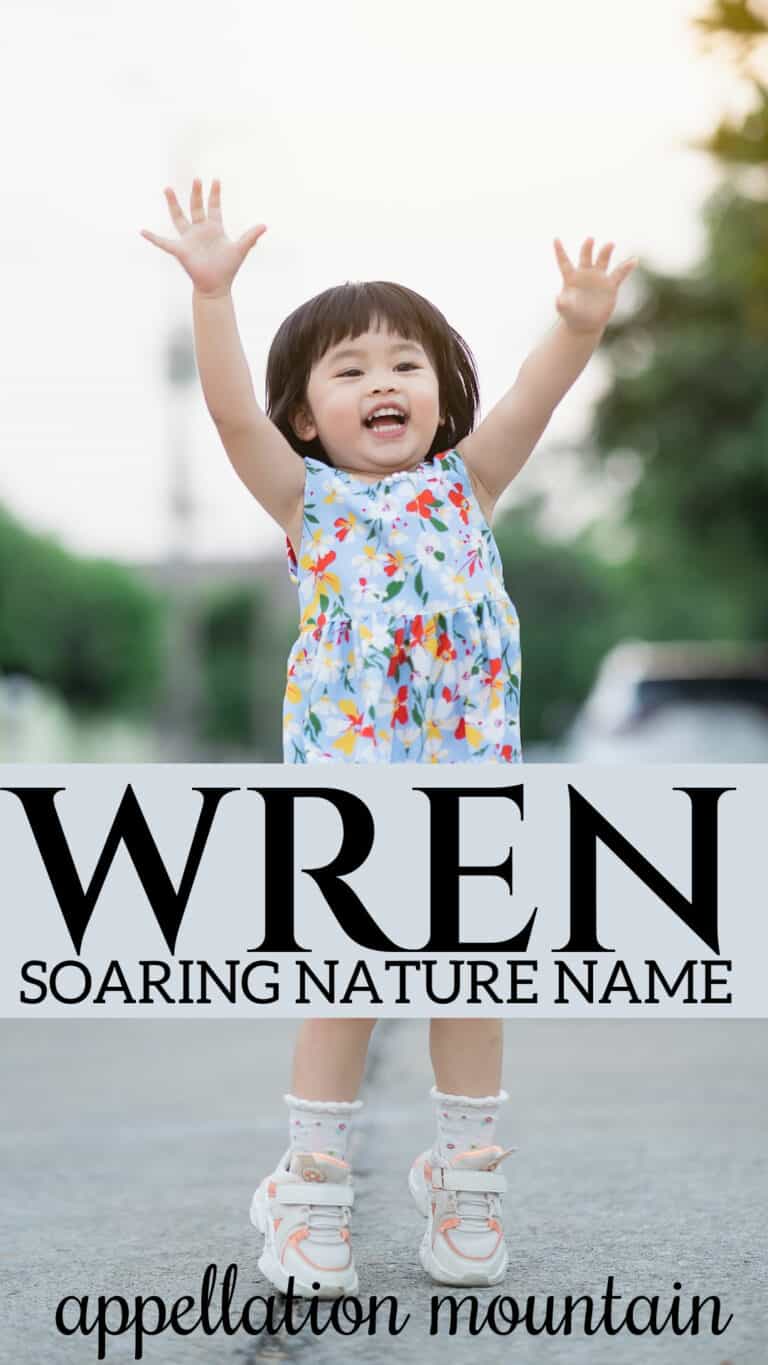 Baby Name Wren: Soaring Nature Name - Appellation Mountain