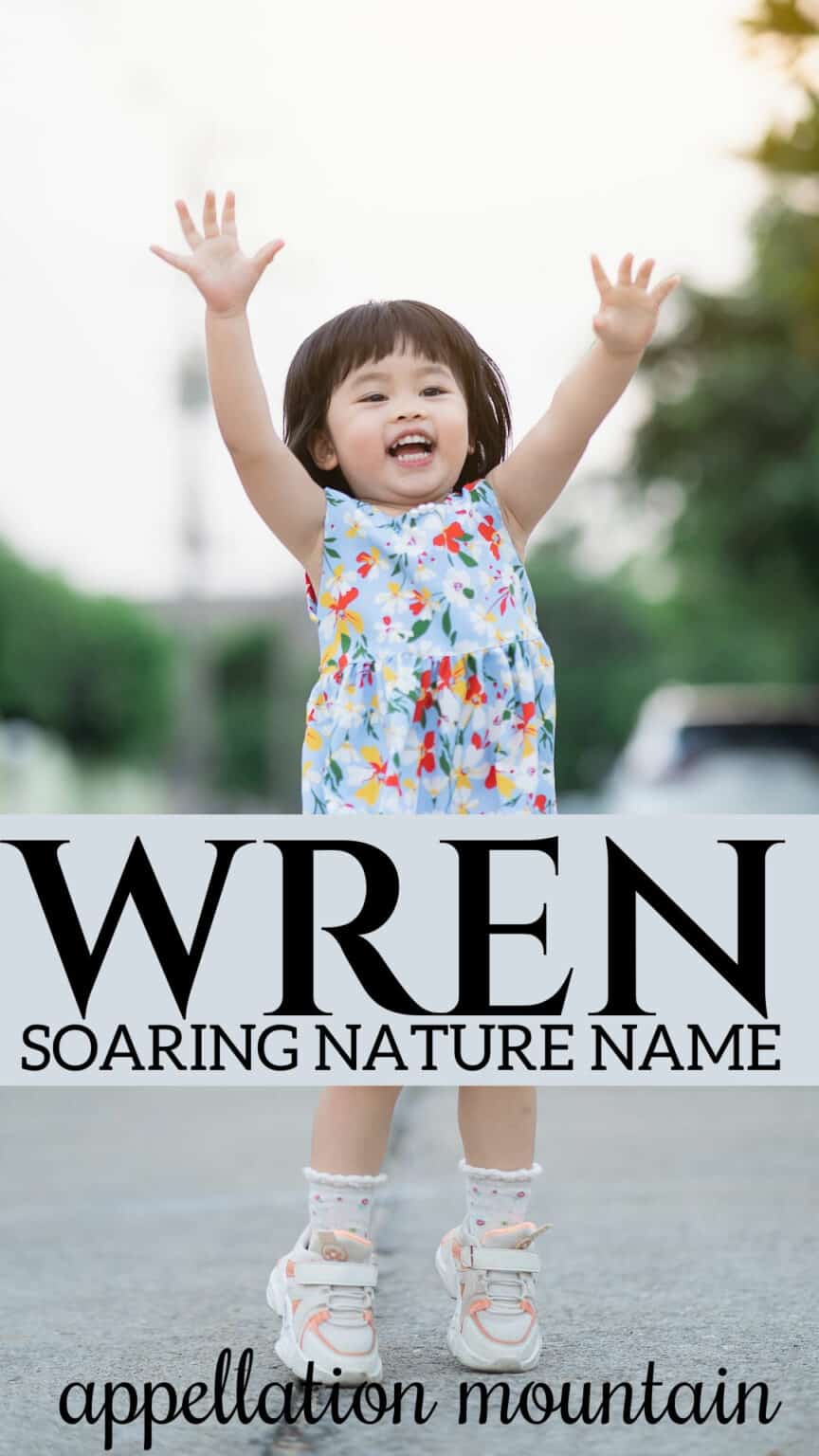 Baby Name Wren: Soaring Nature Name - Appellation Mountain