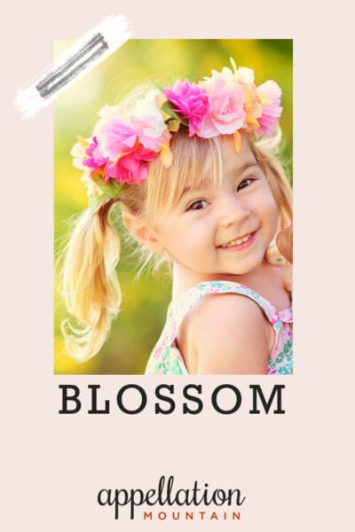 Baby Name of the Day: Blossom - Appellation Mountain