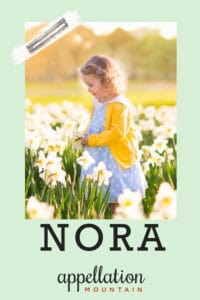Baby Name of the Day: Nora - Appellation Mountain