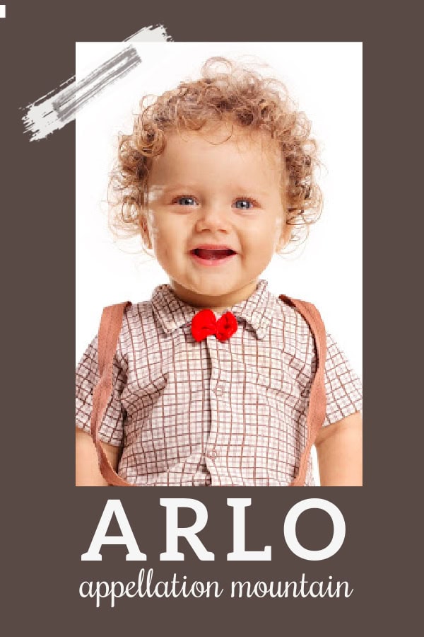 Baby Name Arlo: Cool and Capable - Appellation Mountain