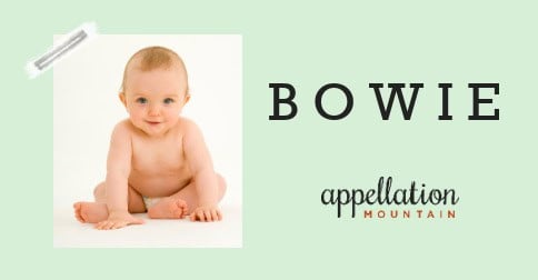 Baby Name of the Day: Bowie - Appellation Mountain