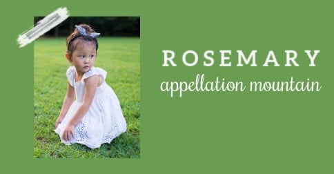 Baby Name Rosemary: Quiet Revival - Appellation Mountain