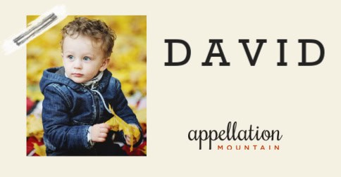 Baby Name David: Popular Classic - Appellation Mountain