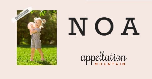 Baby Name of the Day: Noa - Appellation Mountain