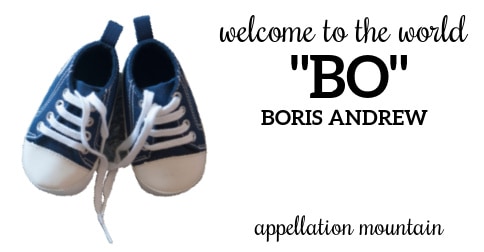 Name Help: Welcome Boris "Bo" Andrew - Appellation Mountain