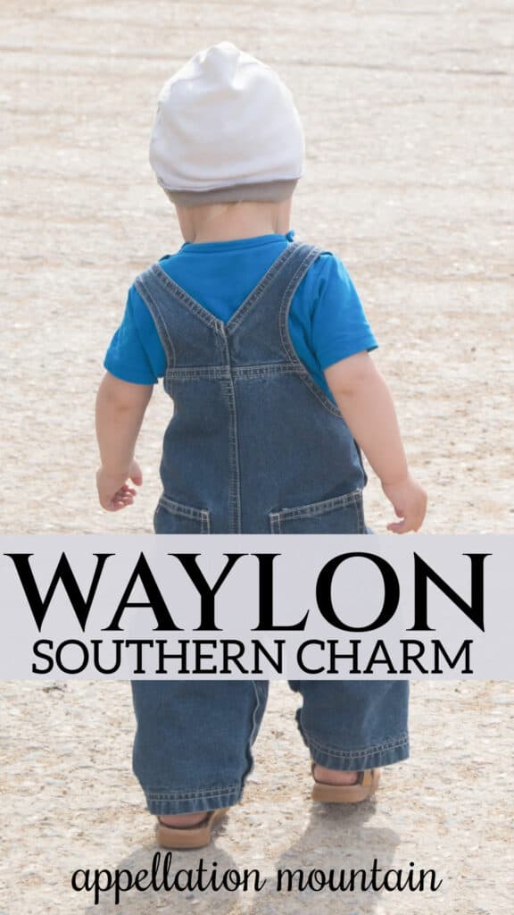 Baby Name Waylon: Southern Charm - Appellation Mountain