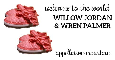 Name Help: Welcome Willow Jordan and Wren Palmer - Appellation Mountain