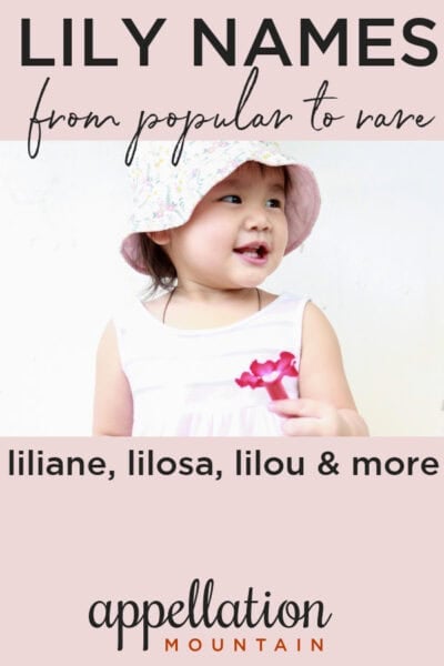 Lily Names: Timeless and Elegant Choices for a Girl - Appellation Mountain