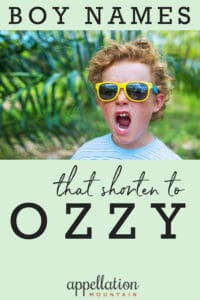 What is Ozzy Short For? Oscar, Ambrose, Oswald & More - Appellation ...