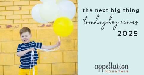 Popular Boy Names: What's Next for the US Top 1000? - Appellation Mountain