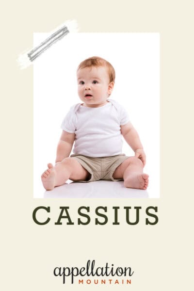 Baby Name Cassius: Ancient and Powerful - Appellation Mountain