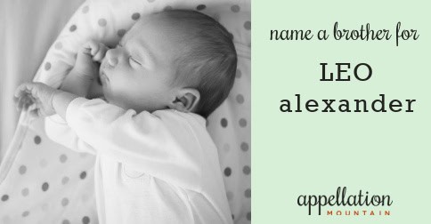 Naming a Brother for Leo: Strong and Storied - Appellation Mountain