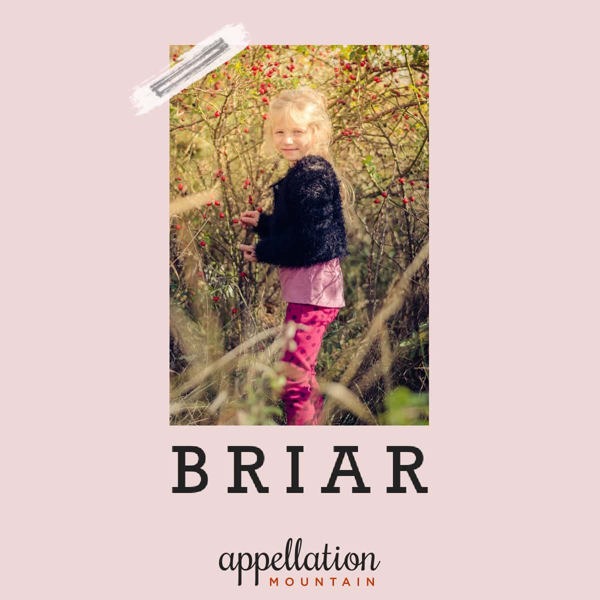 Popular in Texas Baby Names - Appellation Mountain