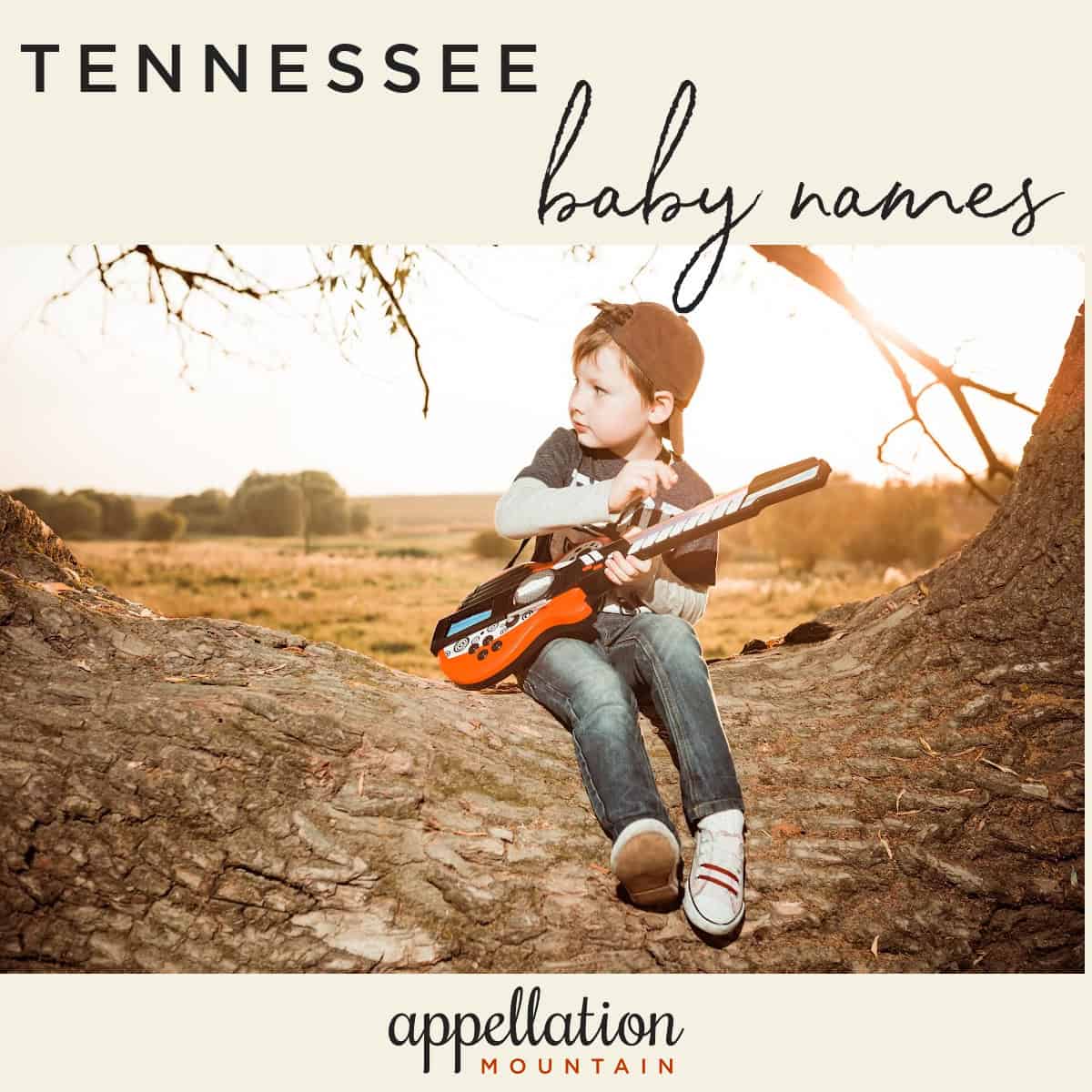 Popular in California Baby Names - Appellation Mountain